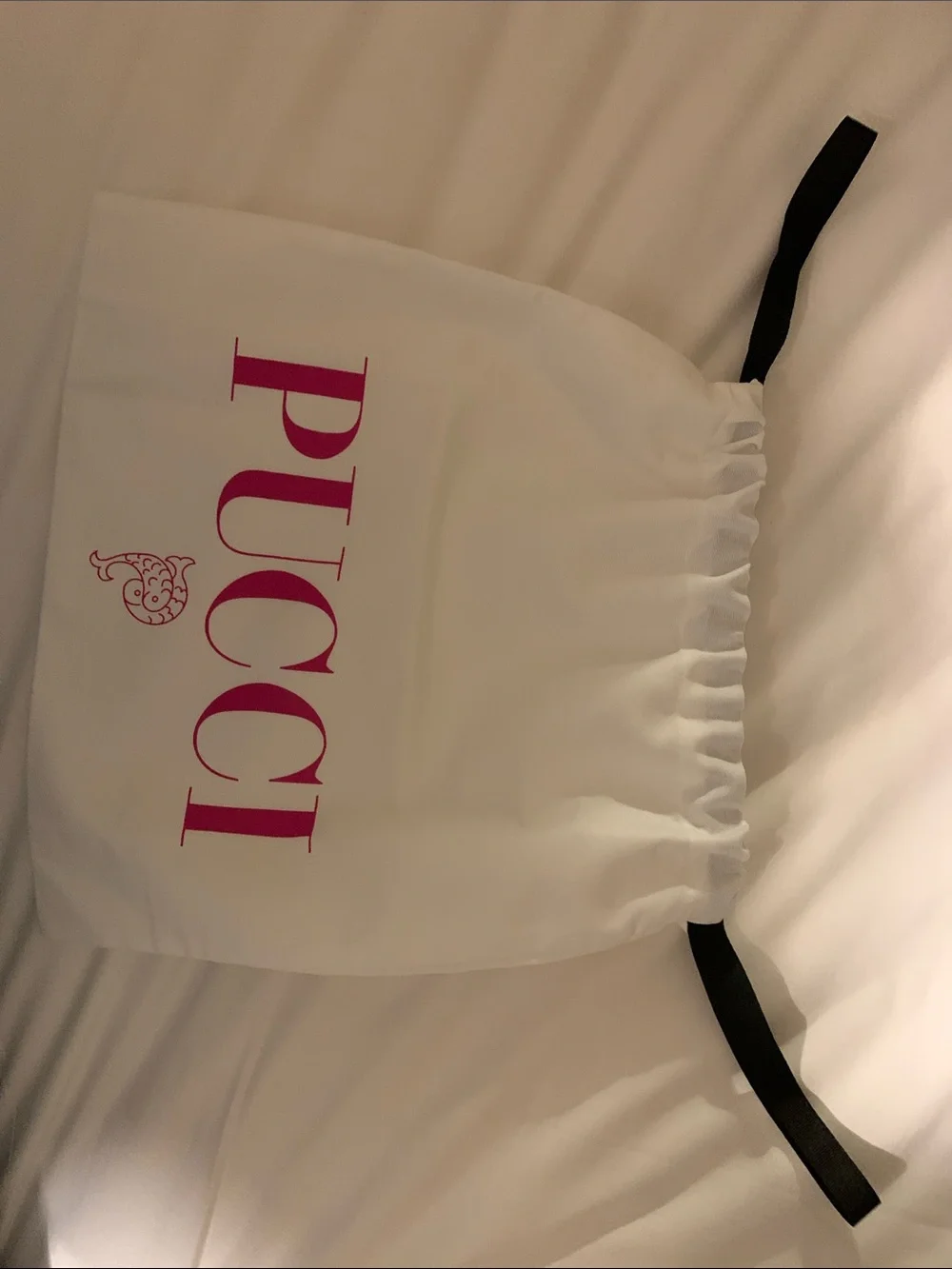 Storage & Organization | Authentic Pucci Smaller Dust Bag With Black ...